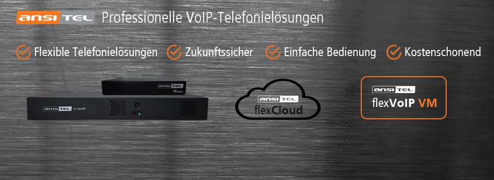 VoIP Telefonanlage für Ihr Unternehmen - individuelle Telefonielösungen